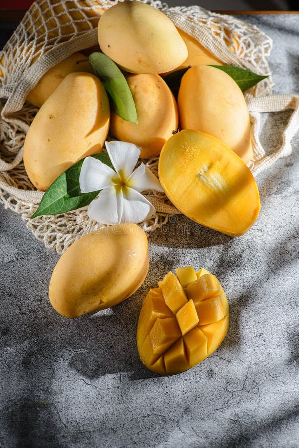 Yellow Mango on a Gray Background Stock Photo - Image of tropic, white ...