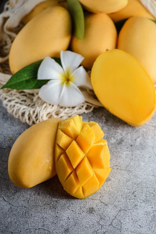 Yellow Mango on a Gray Background Stock Image - Image of closeup, green ...
