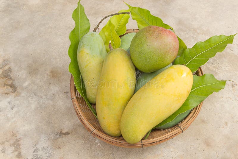 Yellow mango stock photo. Image of eating, yellow, healthy - 71804984