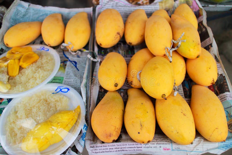 Yellow mango editorial photography. Image of local, yellow - 51746482