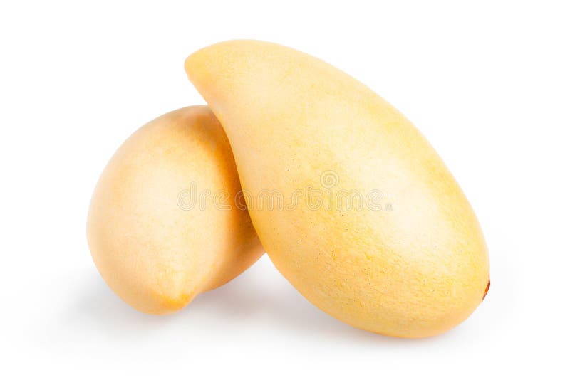 Yellow Mango Isolated on White Stock Photo - Image of gourmet, nature ...