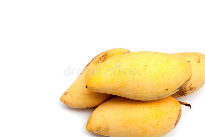 Yellow Mango Isolated on a White Stock Image - Image of leaf, dessert ...