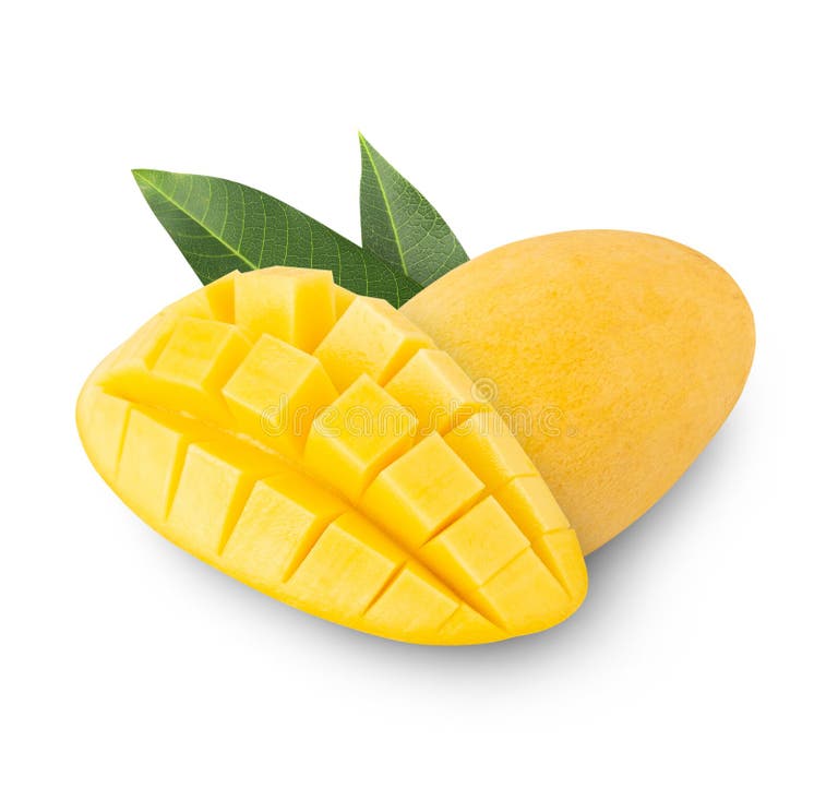 4,801 Single Mango Isolated Leaf Stock Photos - Free & Royalty-Free ...