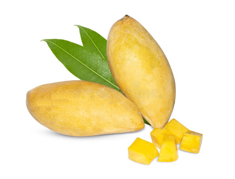 Yellow Mango with Leaves Isolated on White Background Stock Image ...