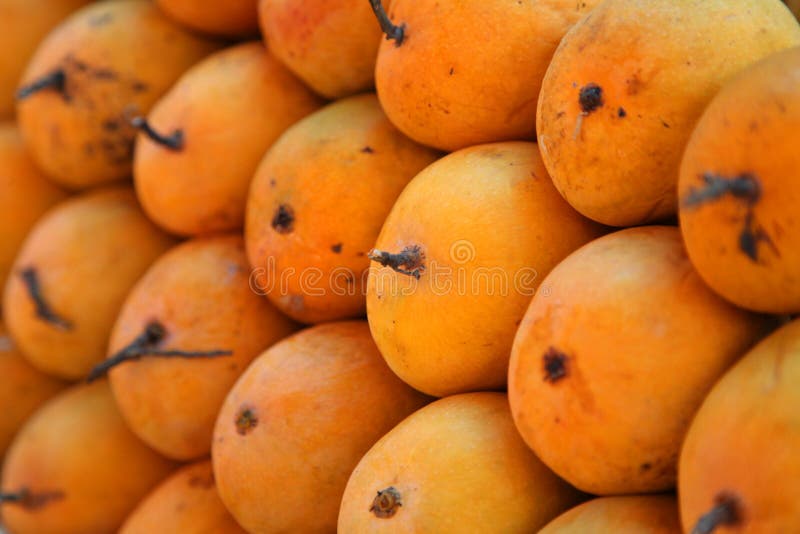 Yellow Mango stock photo. Image of orange, local, natural - 93342502