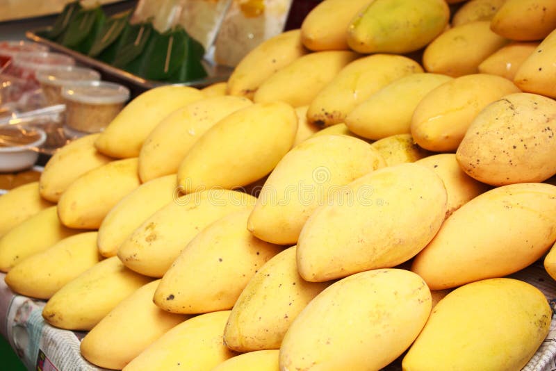 Yellow mango in market. stock photo. Image of full, climate - 35482620