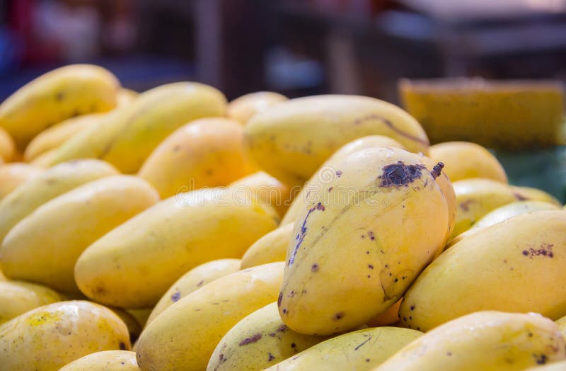Yellow mango in market stock photo. Image of fresh, mangoin - 79962608