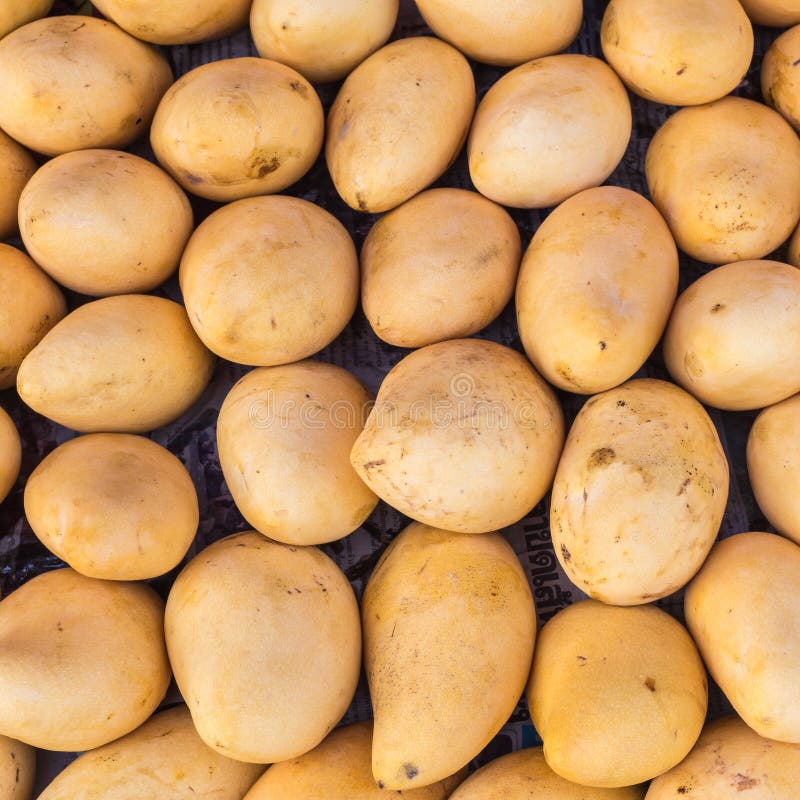 Yellow Mango in Market, Thailand Stock Image - Image of ingredient ...