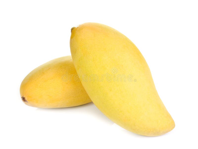 Yellow mango stock photo. Image of fruit, mango, isolated - 174773392
