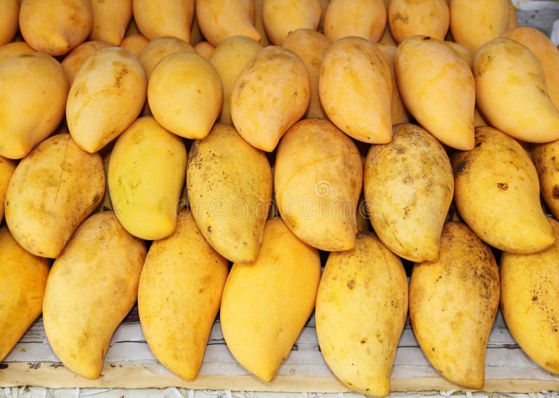 The Yellow Mango in Thailand Market. Stock Image - Image of bunch ...