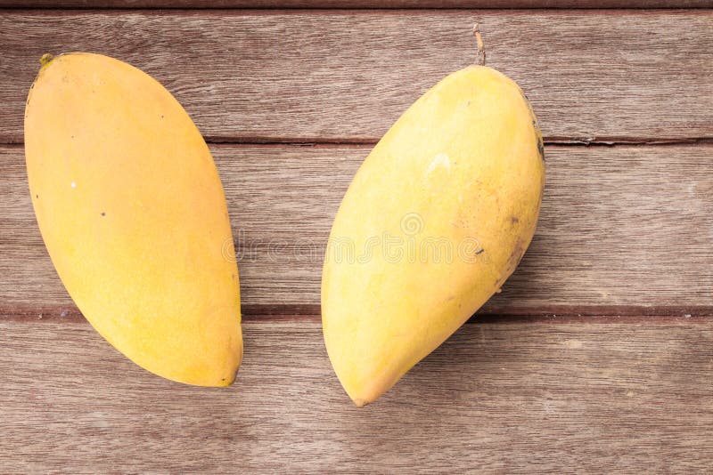 Yellow Mangoes stock photo. Image of plant, seed, round - 53904812