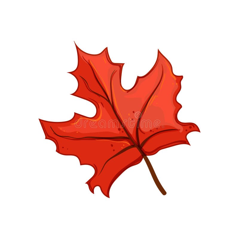 Yellow Maple Leaf Cartoon Vector Illustration Stock Illustration