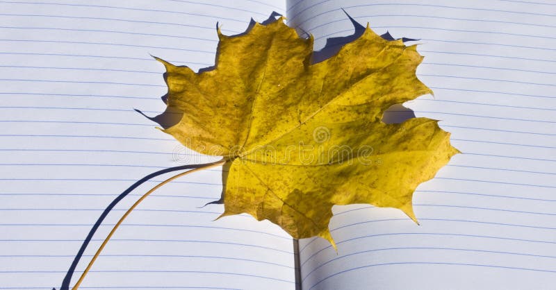 Yellow Maple Leaf on Notebook Stock Photo - Image of notebook, leaf ...