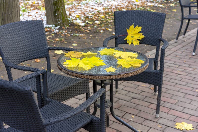 Yellow Maple Leaves on the Table of the Street Cafe Stock Photo - Image ...