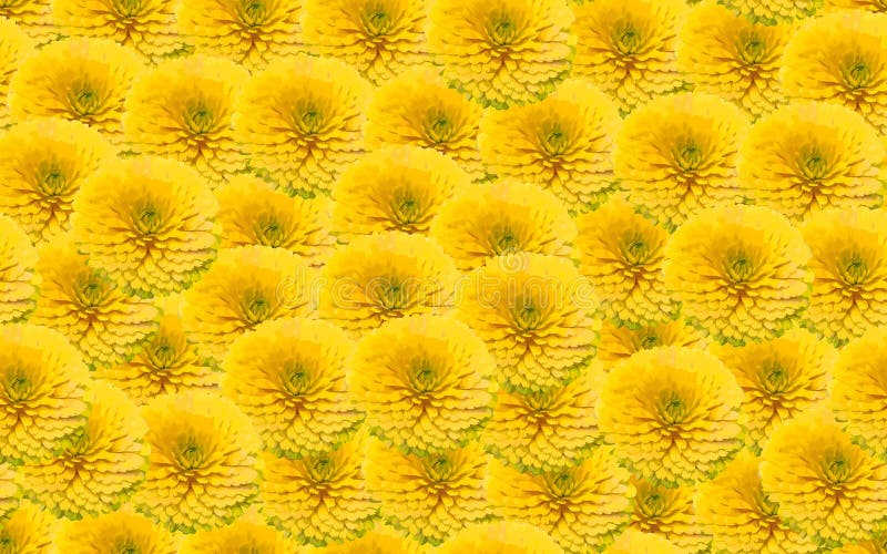 Yellow Marigold Flower Floral Seamless Pattern Ornamental Decorative ...