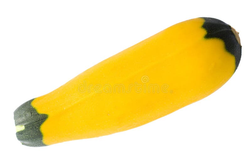 Yellow Marrow stock photo. Image of gourd, healthy, gourmet - 24053228