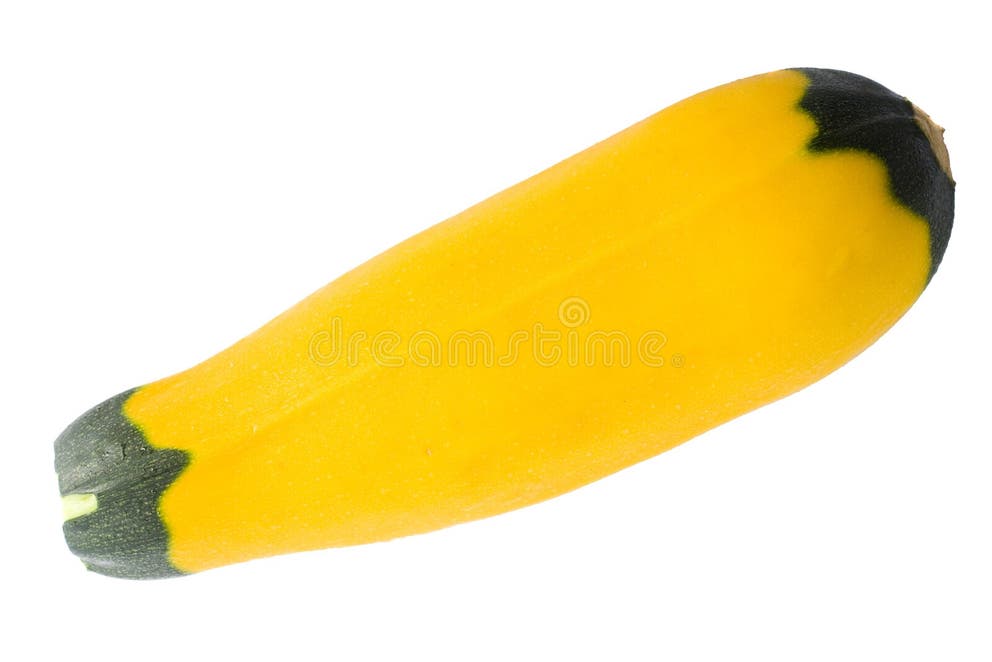 Yellow Marrow stock photo. Image of gourd, healthy, gourmet - 24053228