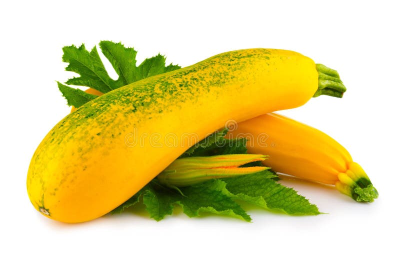 Yellow Marrow Vegetables with Blossom and Leaves Isolated Stock Image ...
