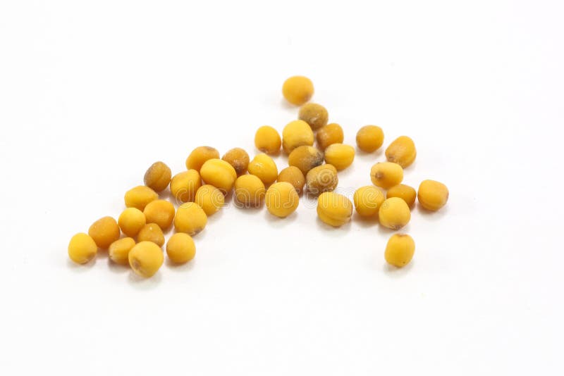 Yellow Mastered Seed stock photo. Image of white, mustard - 65333526