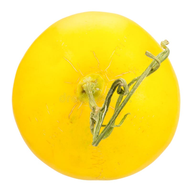 Yellow melon stock image. Image of isolated, delicious - 40566965