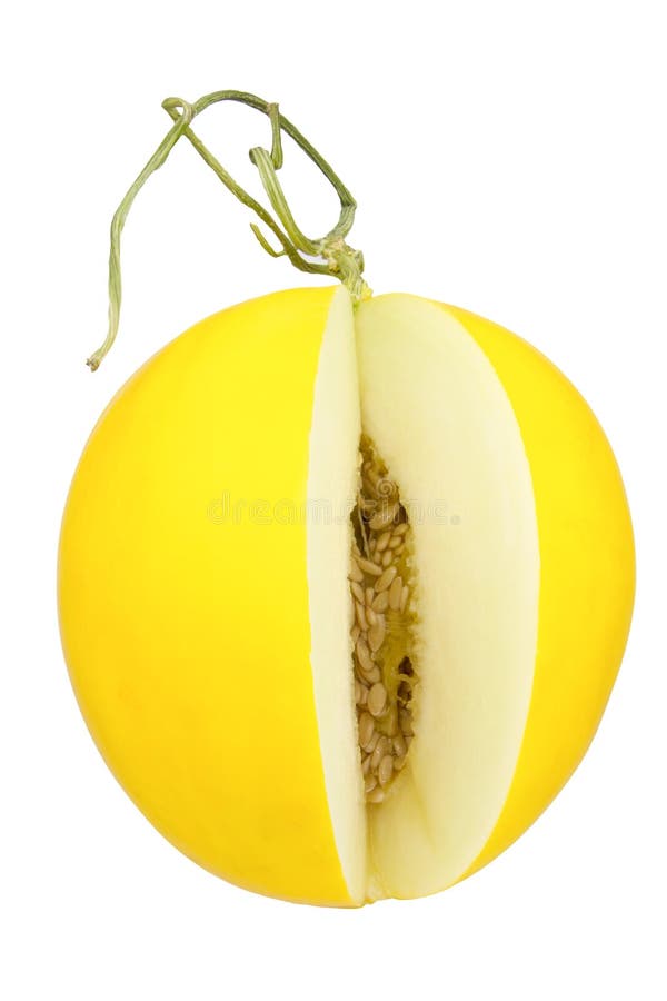 Yellow melon stock image. Image of melon, white, honeydew - 40567009