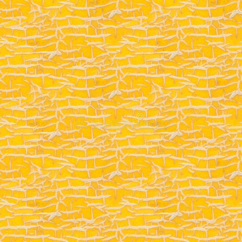Yellow Muskmelon Pattern. Tileable Seamless Texture Stock Photo - Image ...
