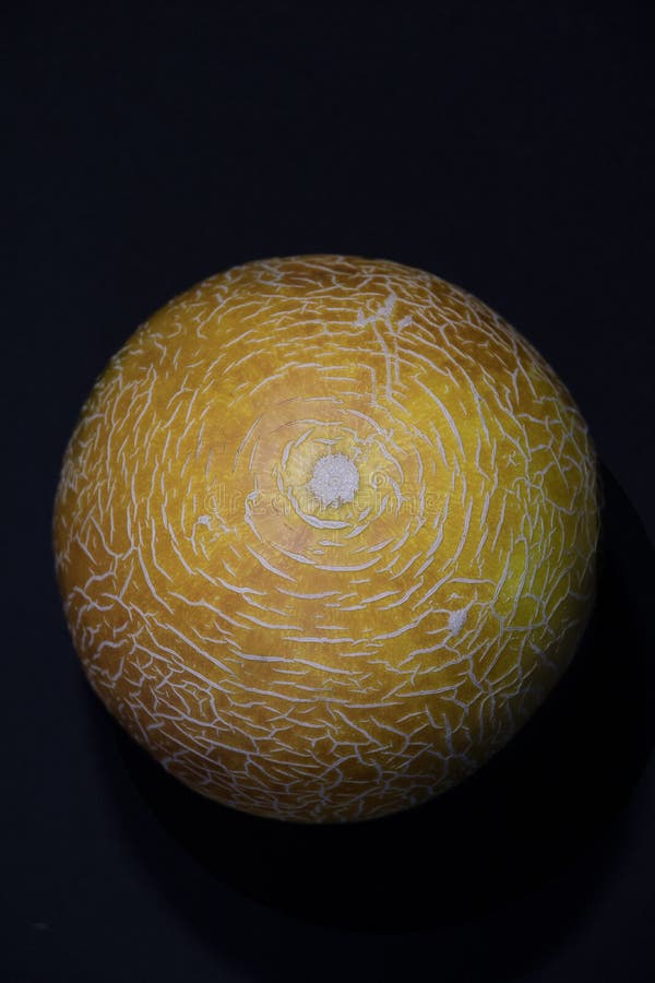 Melon texture stock image. Image of fruit, surface, gold - 14366379