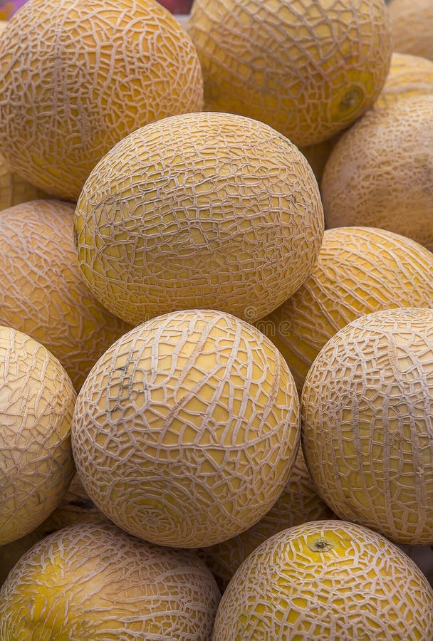 Yellow Melon Vegetable, Canary, Organic, Melons, Tropical Stock Photo ...