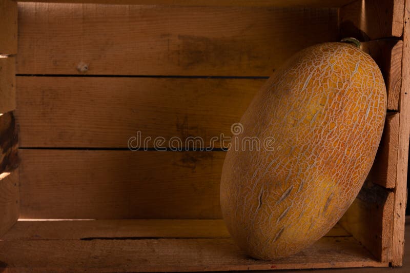 Yellow Melon in a Wooden Box. Melon in the Cellar. Low Light Stock ...