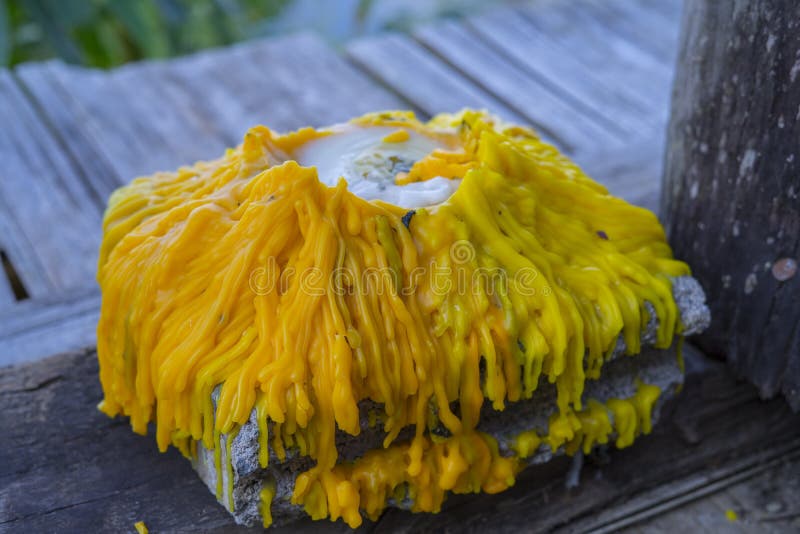 548 Melted Candle Texture Stock Photos - Free & Royalty-Free Stock ...