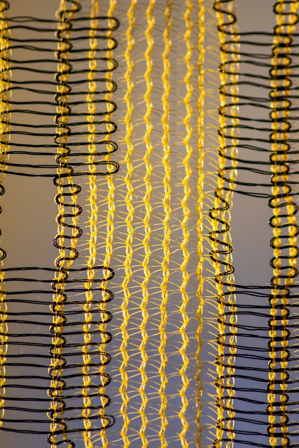 Yellow Mesh Structure in Close-up with Backlight on Shine Morning Shows ...