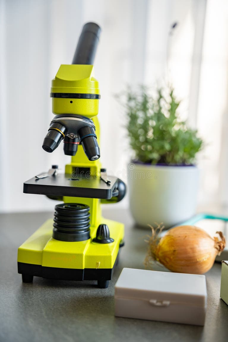 424 Educational Science Kit Stock Photos - Free & Royalty-Free Stock ...