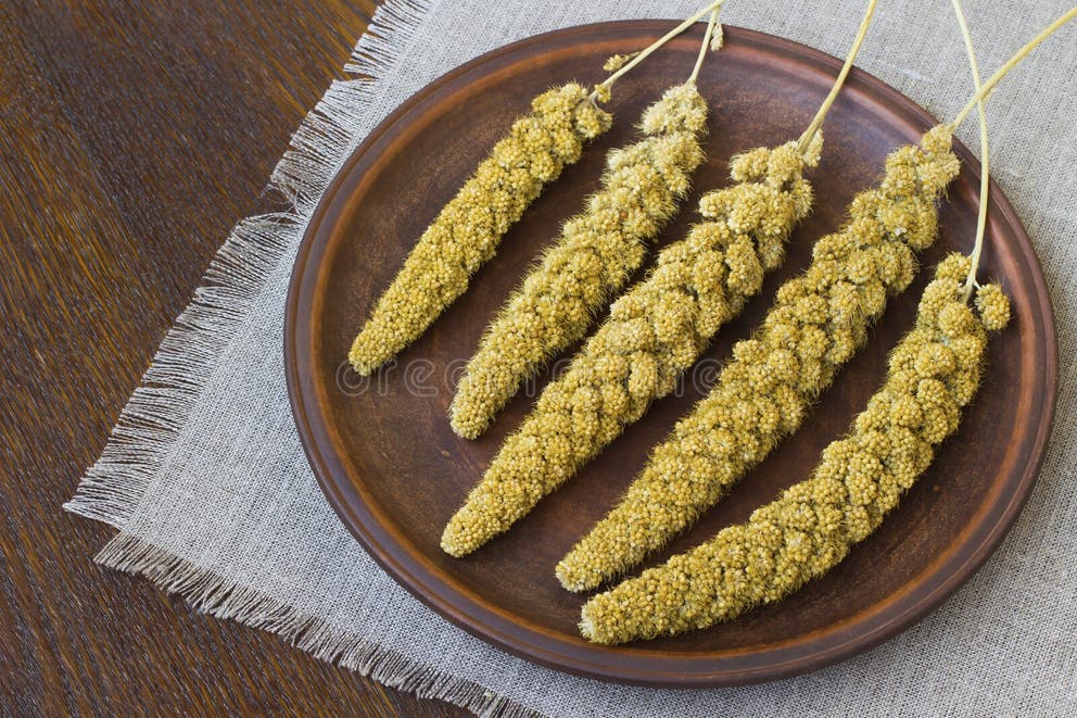 Yellow Millet in a Ceramic Plate on Table Stock Image - Image of wheat ...