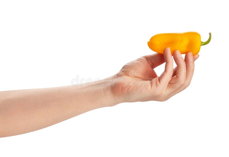 Yellow Mini Bell Pepper in Hand Stock Photo - Image of food, capsicum ...