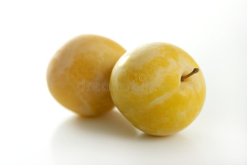 Mirabelle Yellow Plum Fruit in Its Tree Stock Image - Image of food ...