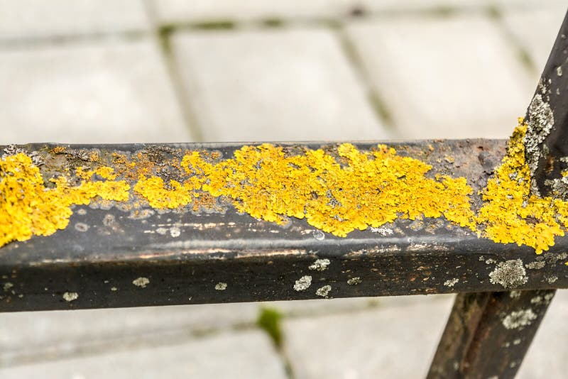 Yellow Mold on a Black Metal Structure, Metal Damage, Abstract ...