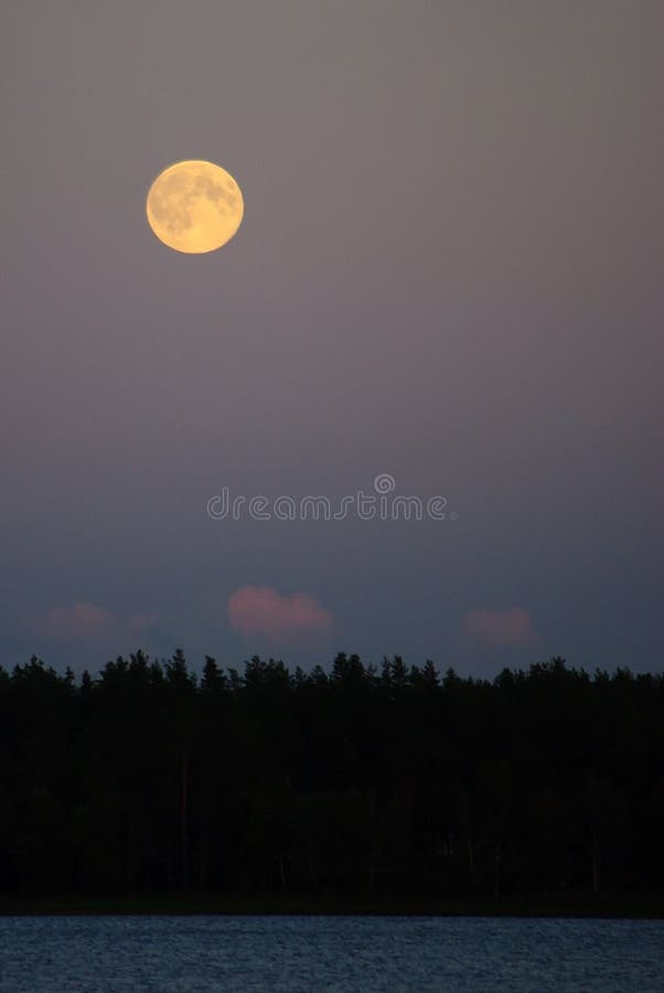 Yellow moon over a lake stock photo. Image of night - 205818344