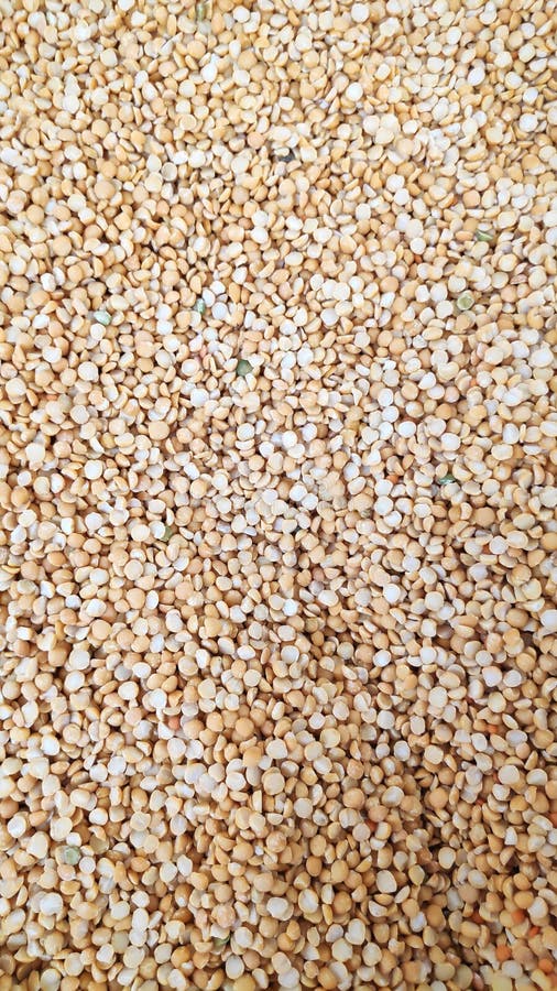 Yellow Moong Dal Stock Images - Download 834 Royalty Free Photos