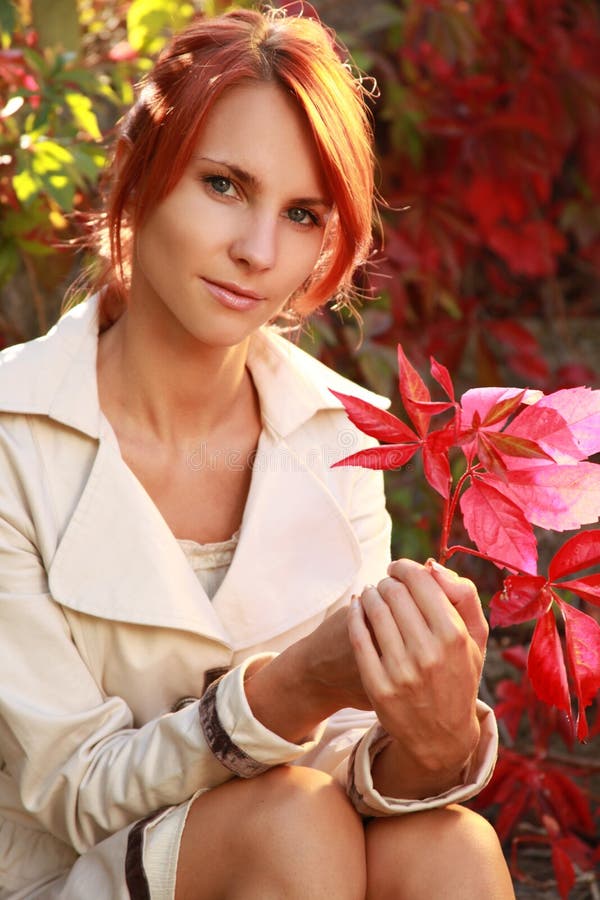 Yellow morning stock image. Image of bright, beautiful - 11147863