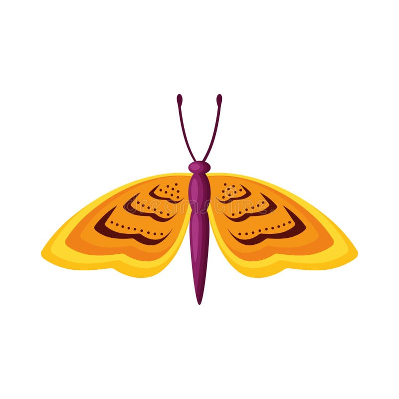 Yellow moth insect animal stock vector. Illustration of flyer - 284044745