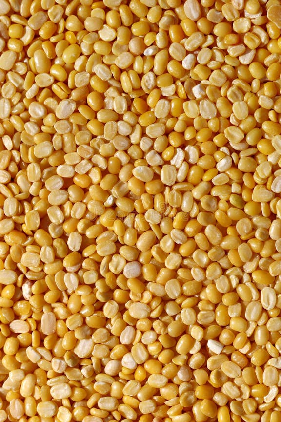 Yellow Mung beans stock image. Image of mung, vegetarian - 106821045
