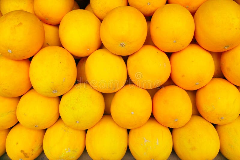 Muskmelon. stock photo. Image of nature, healthy, green - 43564436