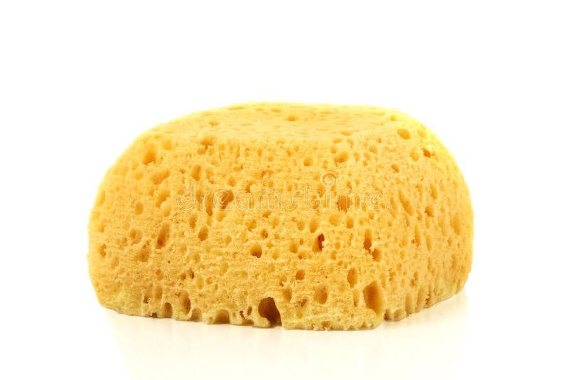 Bathing Sea Sponge for Babies in Hand Isolated on White Background ...