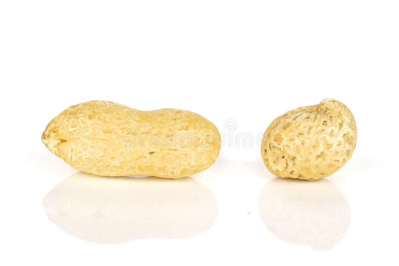 Little Goober Stock Photos - Free & Royalty-Free Stock Photos from ...