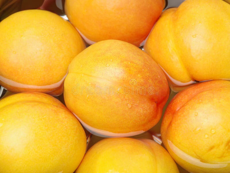 Nectarine Pit On Yellow Plate. Stock Photo - Image of gone, green: 4479272