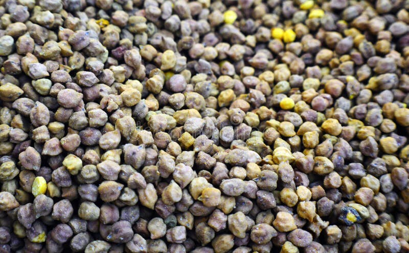 Nuts Fruit stock photo. Image of healthy, assortment - 92052788