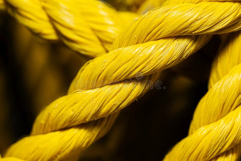 Yellow rope sponge stock image. Image of rope, life, aplysinidae - 40284689