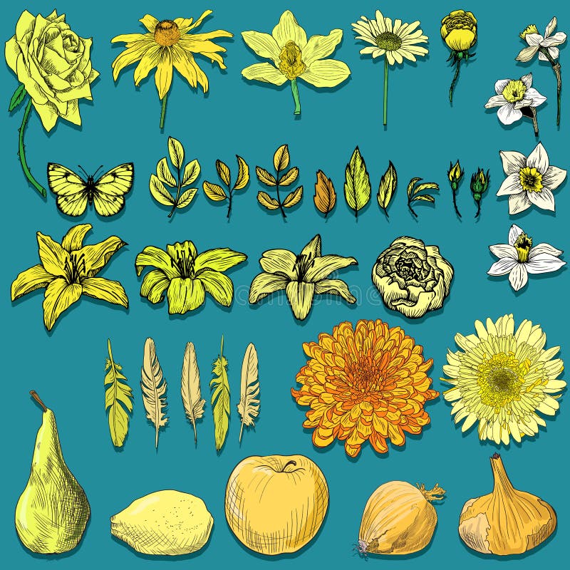 Objects of yellow color stock illustration. Illustration of star - 31524955
