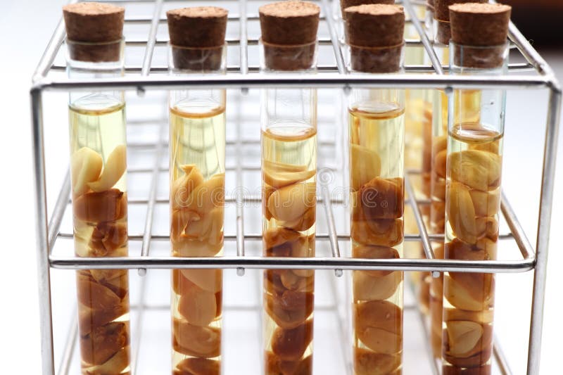 Yellow Oil Extracted from Natural Raw Material Stock Photo - Image of ...