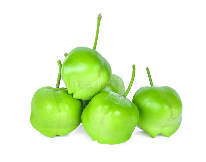 Yellow Oleander; Lucky Nut Isolated on White Background Stock Image ...